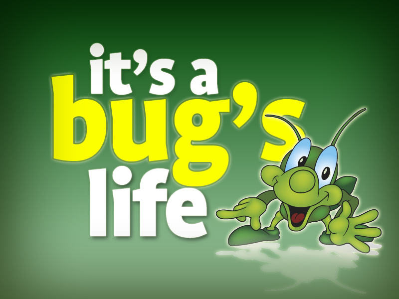 It's a Bug's Life | Ministry127